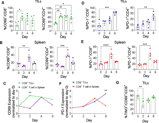 Immuno-PET Imaging of CD69 Visualizes T-Cell Activation and Predicts ...
