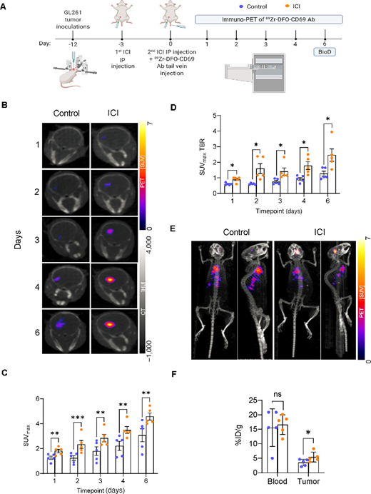 Immuno-PET Imaging of CD69 Visualizes T-Cell Activation and Predicts ...