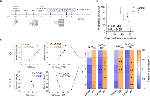 Immuno-PET Imaging of CD69 Visualizes T-Cell Activation and Predicts ...