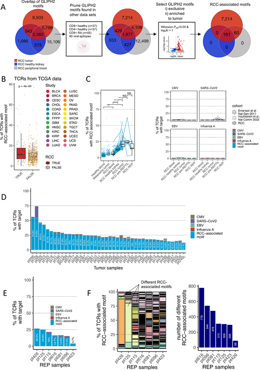 Immunologic Characterization and T cell Receptor Repertoires of Expanded Tumor-infiltrating ...