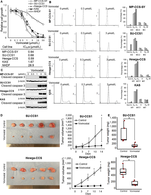 Targeting the Clear Cell Sarcoma Oncogenic Driver Fusion Gene EWSR1 ...