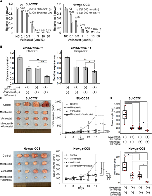 Targeting the Clear Cell Sarcoma Oncogenic Driver Fusion Gene EWSR1 ...
