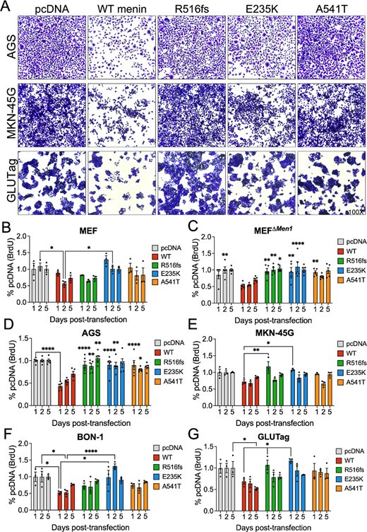 Clinically Defined Mutations in MEN1 Alter Its Tumor-suppressive ...