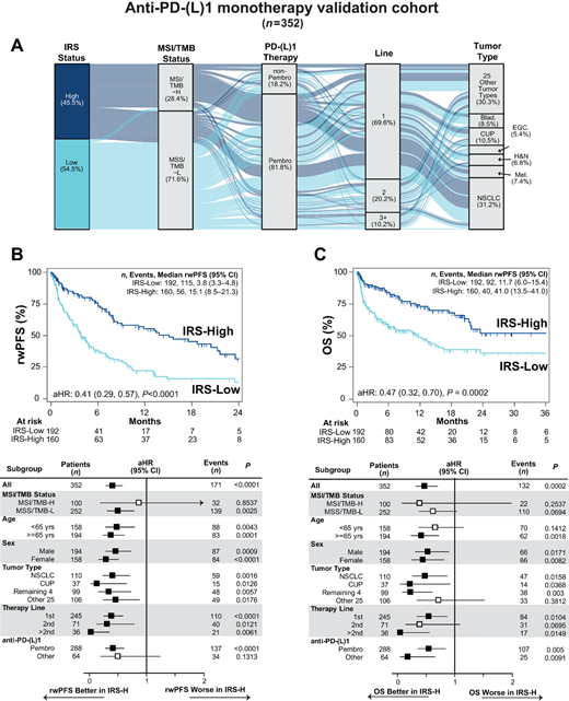 Validation of Immunotherapy Response Score as Predictive of Pan-solid ...