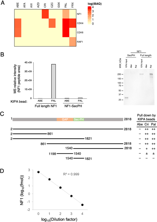 Proteogenomic Approaches for the Identification of NF1/Neurofibromin ...