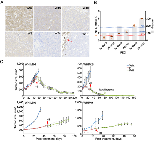 Proteogenomic Approaches for the Identification of NF1/Neurofibromin ...