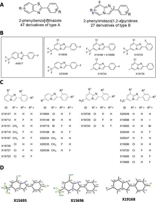 Identification of an Imidazopyridine-based Compound as an Oral ...