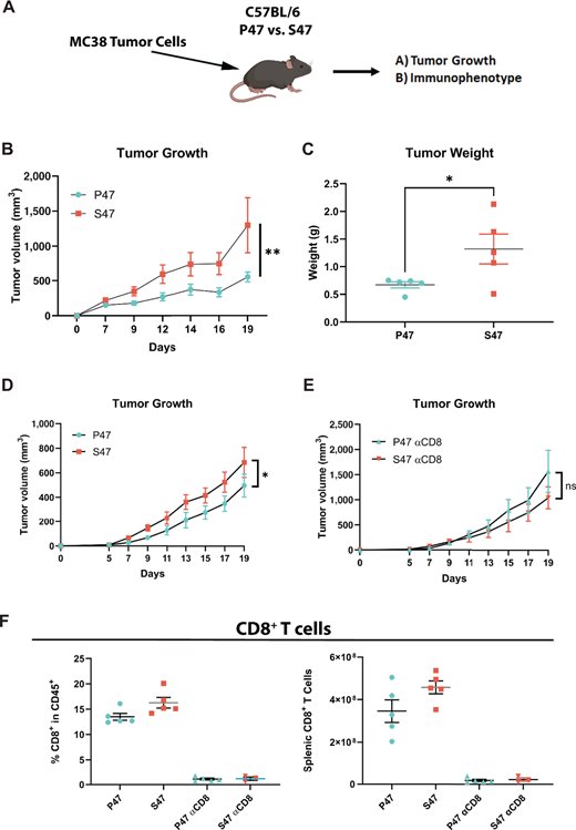 The African-centric P47S Variant of TP53 Confers Immune Dysregulation ...
