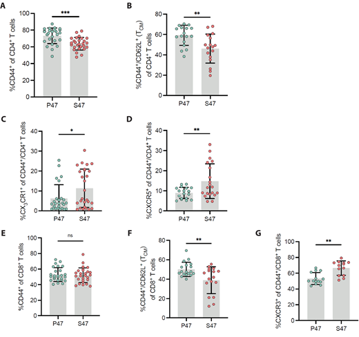 The African-centric P47S Variant of TP53 Confers Immune Dysregulation ...