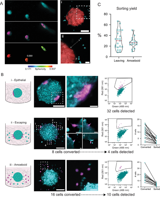Targeted Single-cell Isolation of Spontaneously Escaping Live Melanoma ...