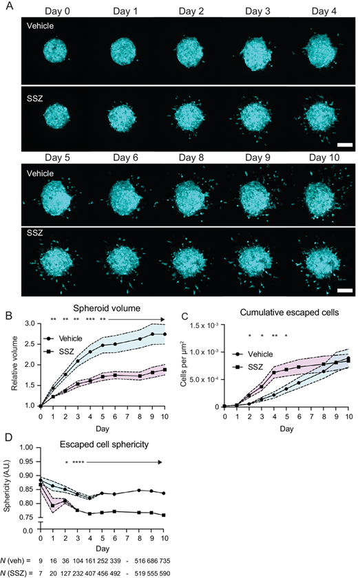 Targeted Single-cell Isolation of Spontaneously Escaping Live Melanoma ...