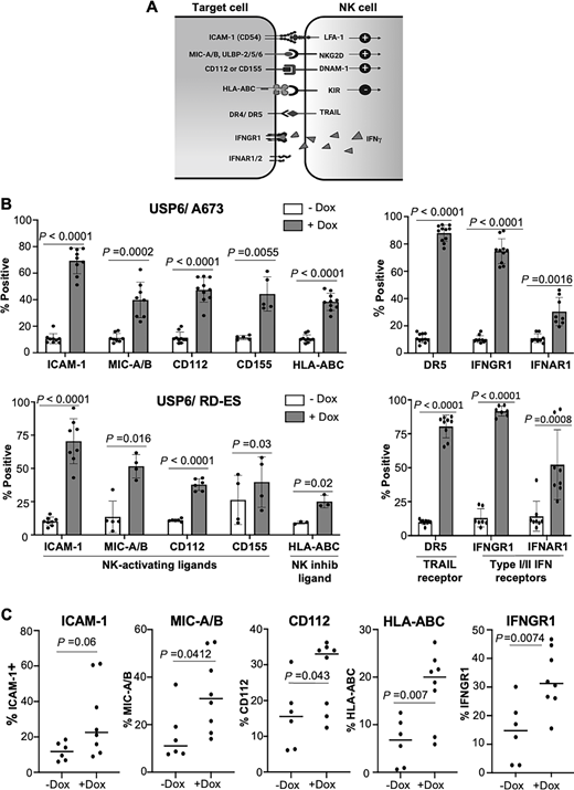 Natural Killer Cell Activation by Ubiquitin-specific Protease 6 ...