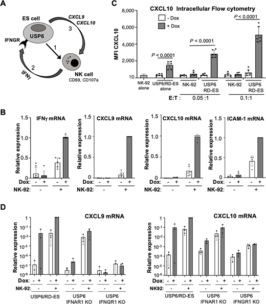 Natural Killer Cell Activation by Ubiquitin-specific Protease 6 ...