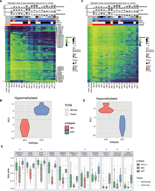Whole-genome CpG-resolution DNA Methylation Profiling of HNSCC Reveals Distinct Mechanisms of ...