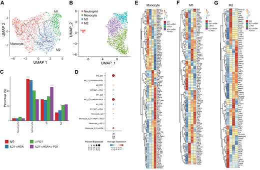 Synergism Between IL21 and Anti-PD-1 Combination Therapy is Underpinned ...