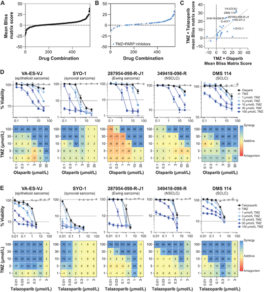 Multicellular Complex Tumor Spheroid Response to DNA Repair Inhibitors ...