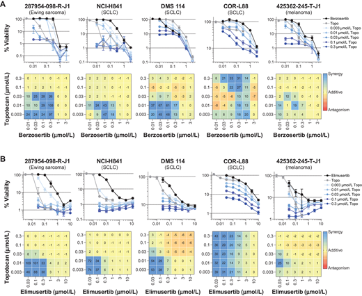 Multicellular Complex Tumor Spheroid Response to DNA Repair Inhibitors ...