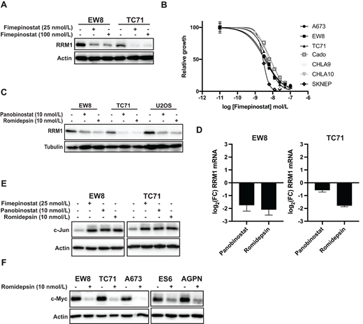 Activator Protein-1 (AP-1) Signaling Inhibits the Growth of Ewing ...