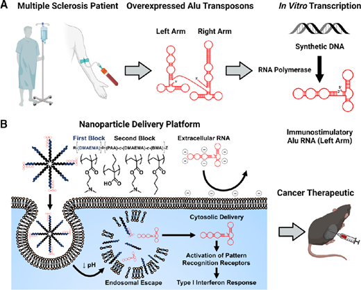 Nanoparticle Delivery of Immunostimulatory Alu RNA for Cancer ...