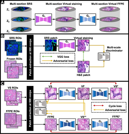 Accelerating Cancer Histopathology Workflows with Chemical Imaging and ...