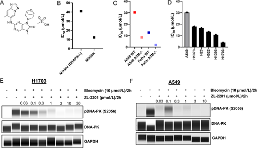 Discovery and Characterization of ZL-2201, a Potent, Highly Selective, and Orally Bioavailable ...