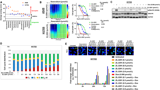Discovery and Characterization of ZL-2201, a Potent, Highly Selective ...