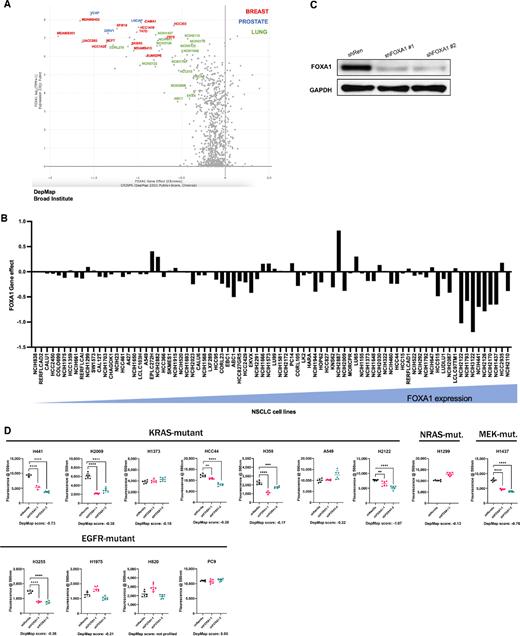 A Druggable FOXA1-Glucocorticoid Receptor Transcriptional Axis Drives ...