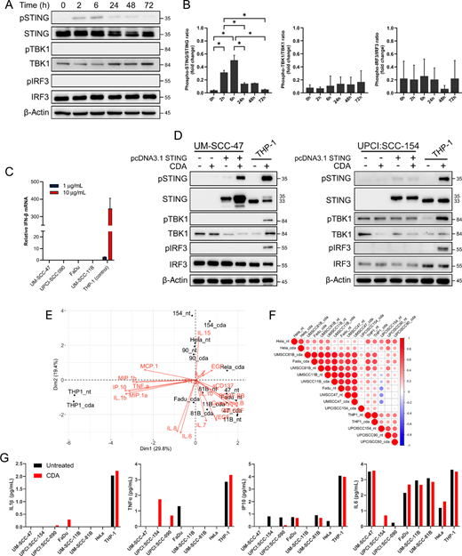 Differential Regulation of the STING Pathway in Human Papillomavirus ...