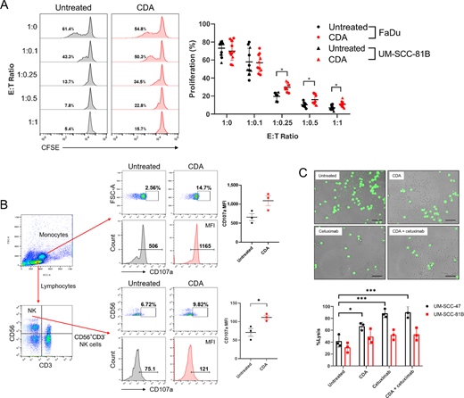 Differential Regulation of the STING Pathway in Human Papillomavirus ...
