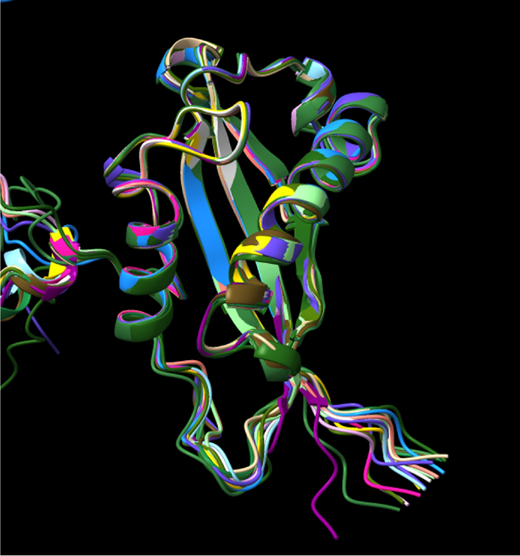 A Revised Molecular Model of Ovarian Cancer Biomarker CA125 (MUC16 ...