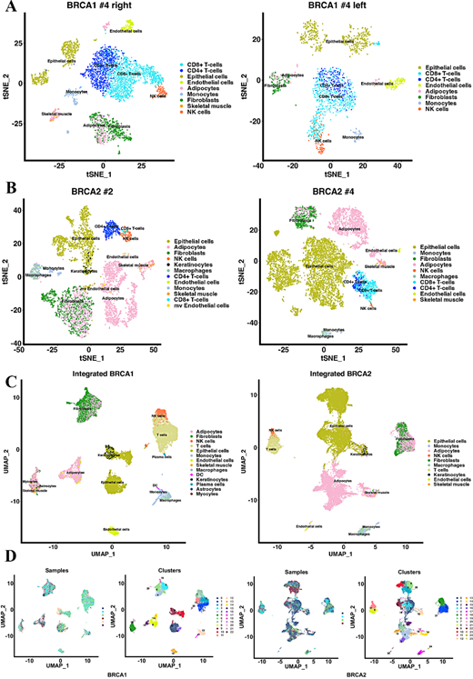 Signaling Pathway Alterations Driven By Brca1 And Brca2 Germline Mutations Are Sufficient To