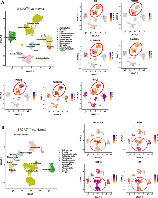 Signaling Pathway Alterations Driven by BRCA1 and BRCA2 Germline ...