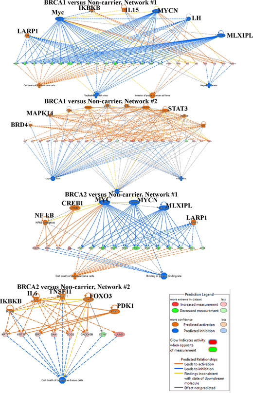 Signaling Pathway Alterations Driven by BRCA1 and BRCA2 Germline ...