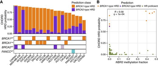 Pan-Cancer Analysis of Homologous Recombination Deficiency in Cell ...