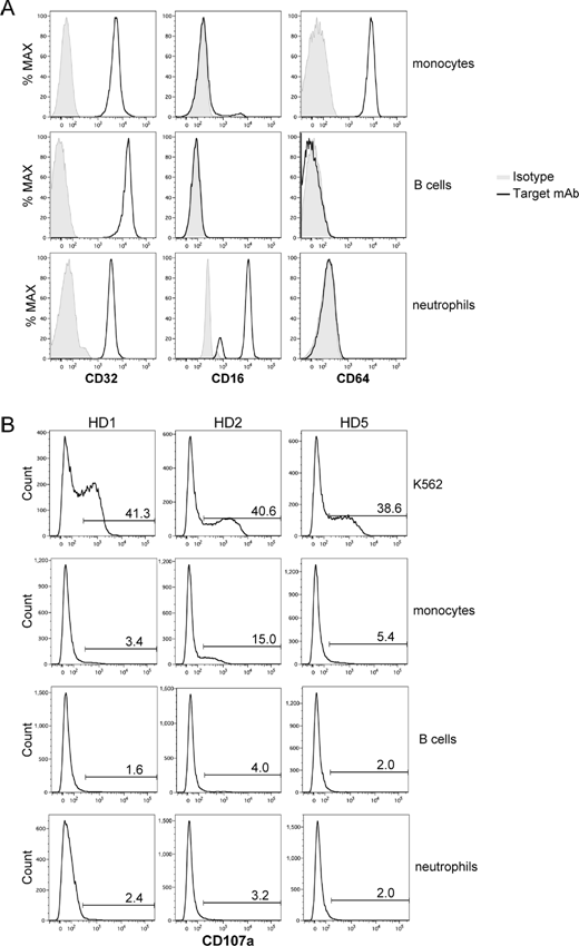 Anti-Vα24Jα18 TCR Antibody Tunes iNKT Cell Responses to Target and Kill ...