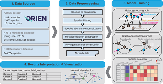 A Bioinformatics Tool for Identifying Intratumoral Microbes from the ...