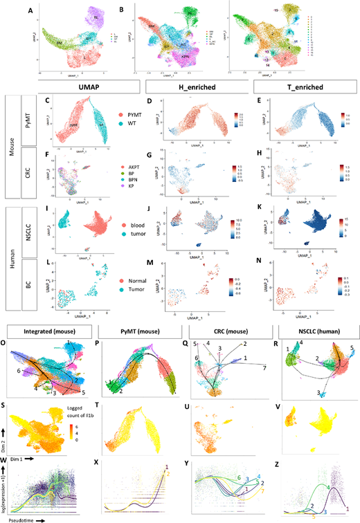 Characterizing Neutrophil Subtypes in Cancer Using scRNA Sequencing ...