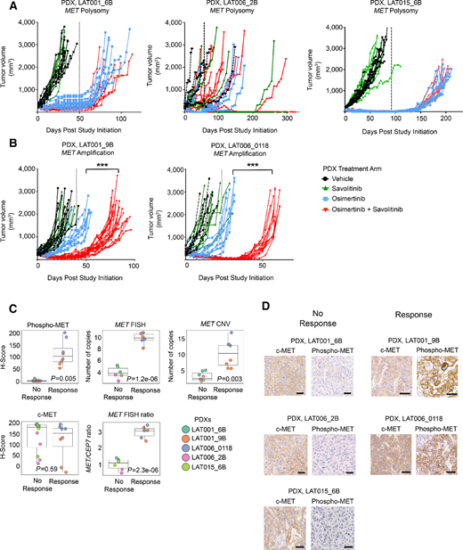 Functional Heterogeneity in MET Pathway Activation in PDX Models of ...