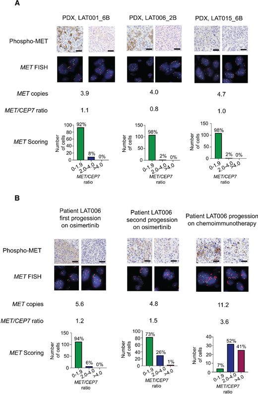 Functional Heterogeneity in MET Pathway Activation in PDX Models of Osimertinib-resistant EGFR ...