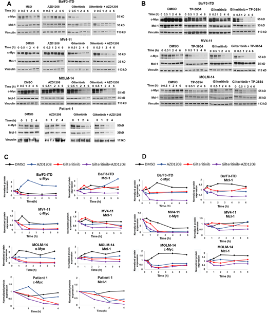 Pim Kinase Inhibitors Increase Gilteritinib Cytotoxicity in FLT3-ITD ...