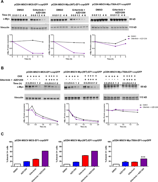 Pim Kinase Inhibitors Increase Gilteritinib Cytotoxicity in FLT3-ITD ...