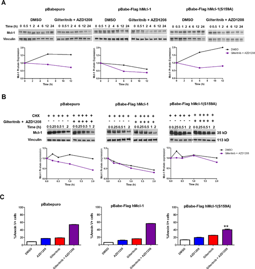 Pim Kinase Inhibitors Increase Gilteritinib Cytotoxicity in FLT3-ITD ...