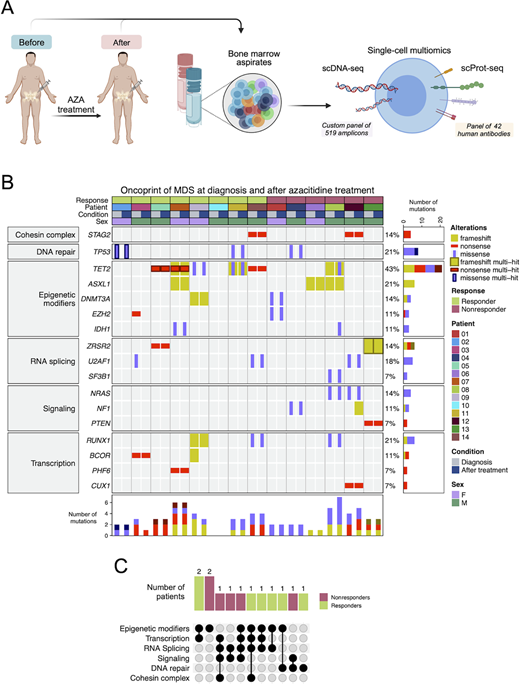 Single-cell Multiomics Analysis of Myelodysplastic Syndromes and ...