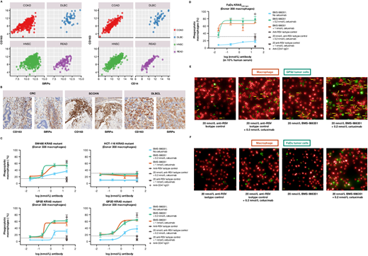 Discovery and Preclinical Activity of BMS-986351, an Antibody to SIRPα ...