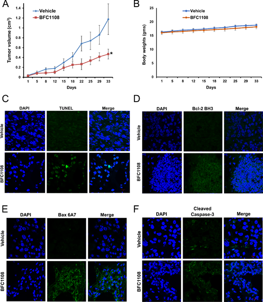 Identification and Characterization of a Small Molecule Bcl-2 ...