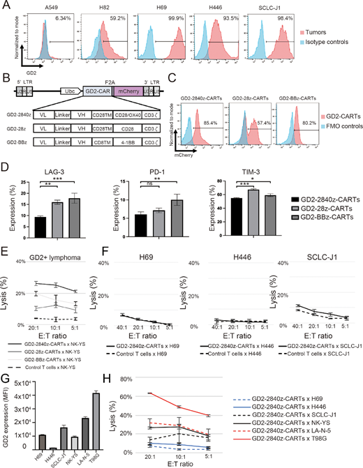 Rejuvenated iPSC-derived GD2-directed CART Cells Harbor Robust ...