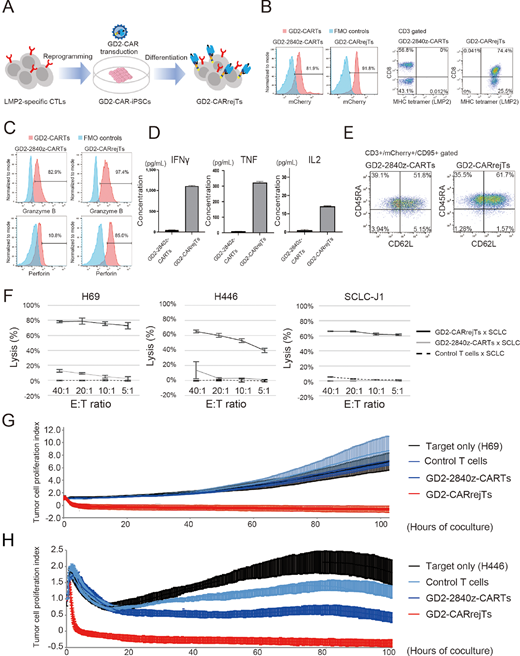 Rejuvenated iPSC-derived GD2-directed CART Cells Harbor Robust ...