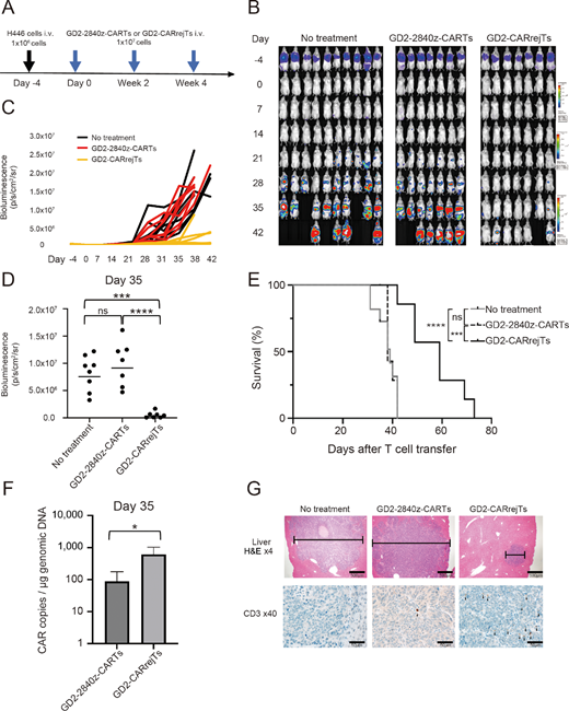 Rejuvenated iPSC-derived GD2-directed CART Cells Harbor Robust Cytotoxicity Against Small Cell ...