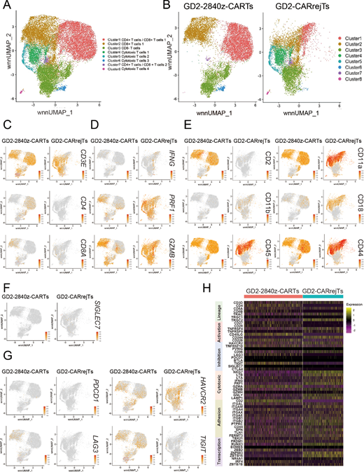 Rejuvenated iPSC-derived GD2-directed CART Cells Harbor Robust Cytotoxicity Against Small Cell ...