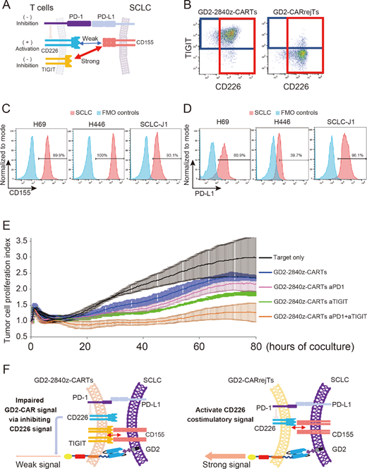 Rejuvenated iPSC-derived GD2-directed CART Cells Harbor Robust Cytotoxicity Against Small Cell ...